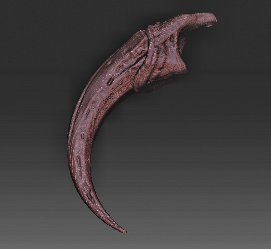 Free STL file Claws medalion 🎨 (OBJ)・3D printable design to download・Cults