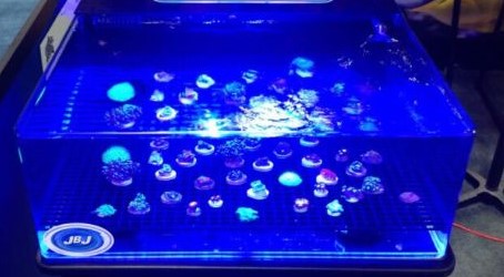 🪸 3D PRINTING - CORAL FRAG PLUG・Free STL File for ・Cults