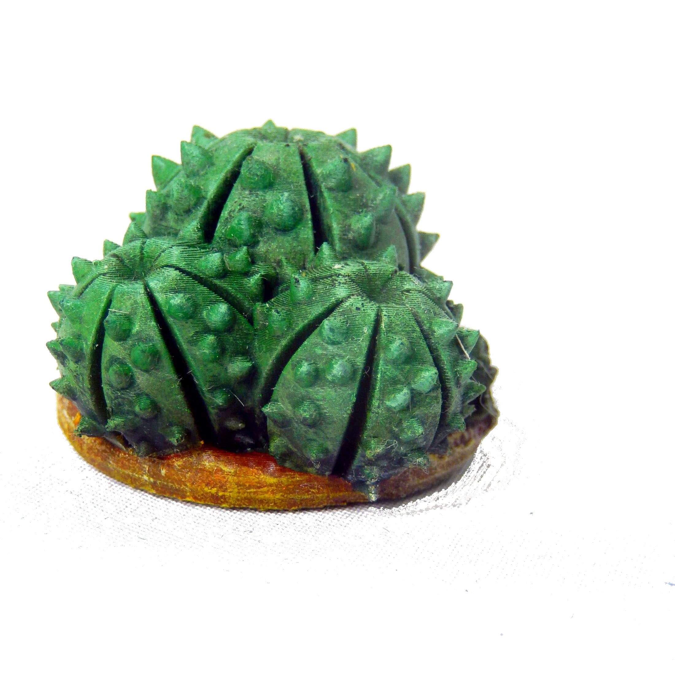 🌵 Cactus plant set fantasy scatter terrain (desert plants and scatter ...