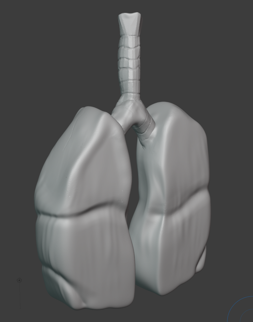 Archivo STL gratuito Pulmones de aspecto realista 🩻・Objeto para ...