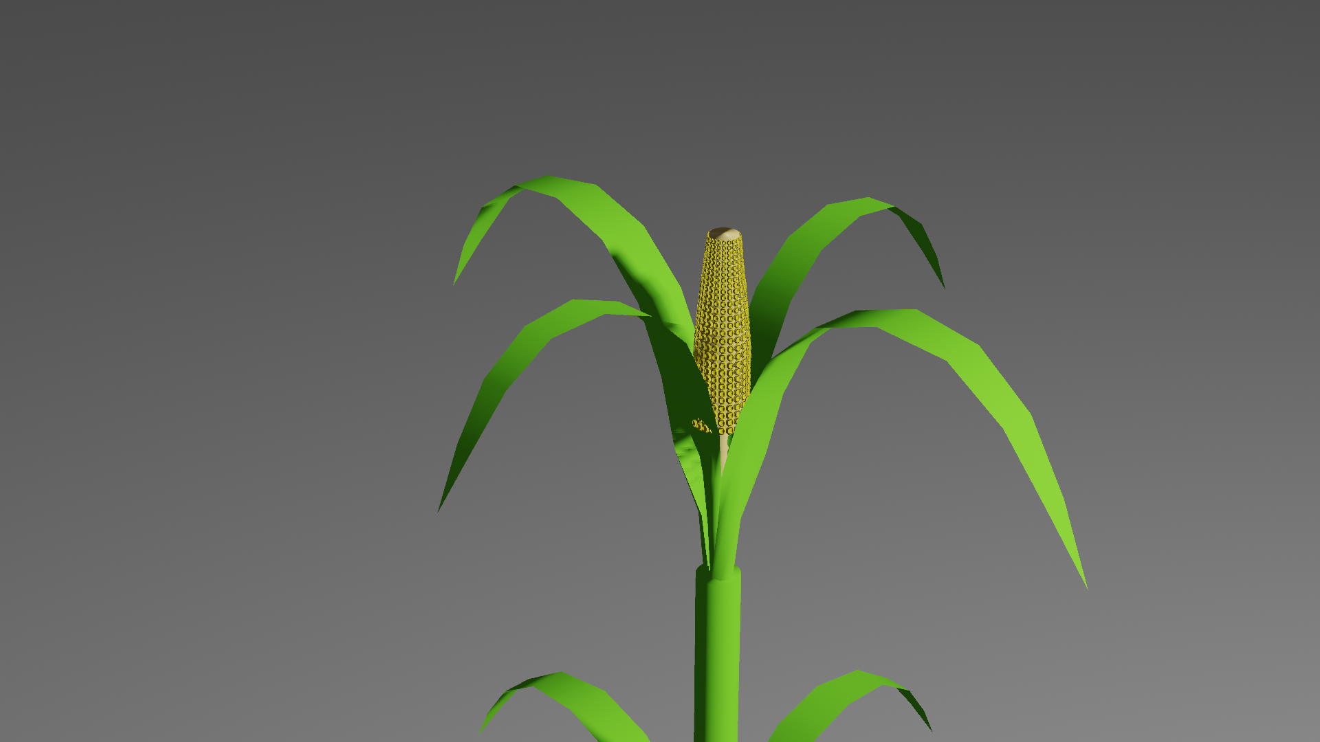 🌽 3D corn plant・ STL File for ・Cults