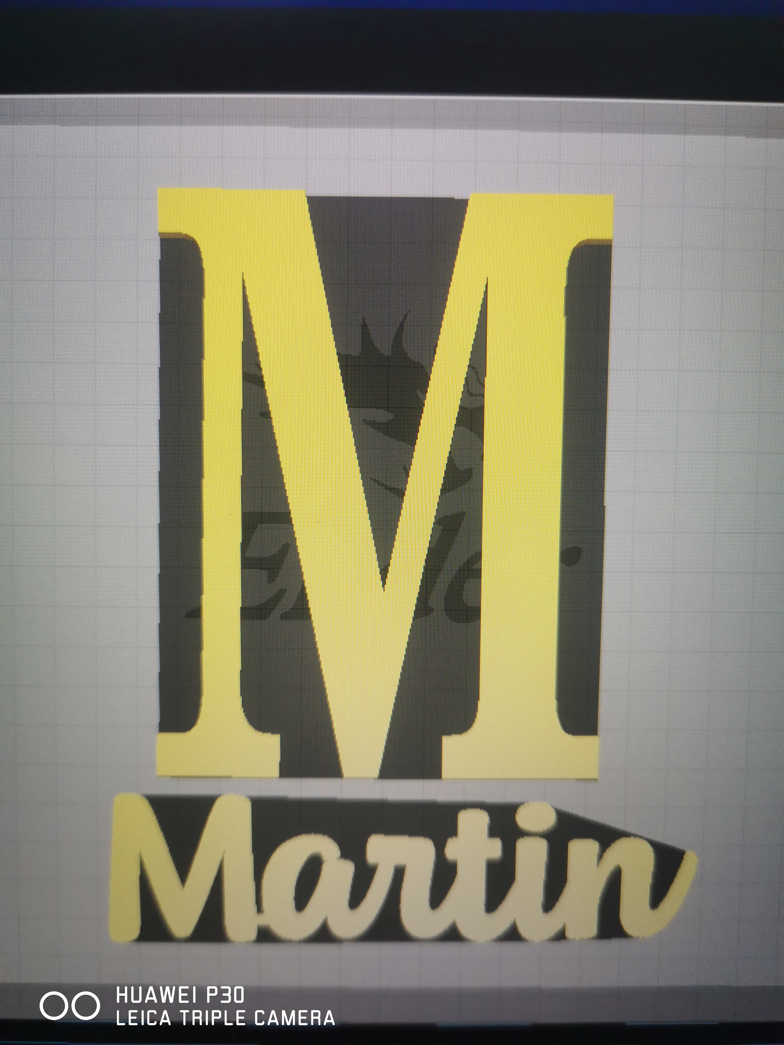STL file martin ornament 🎨 ・3D printer model to download・Cults