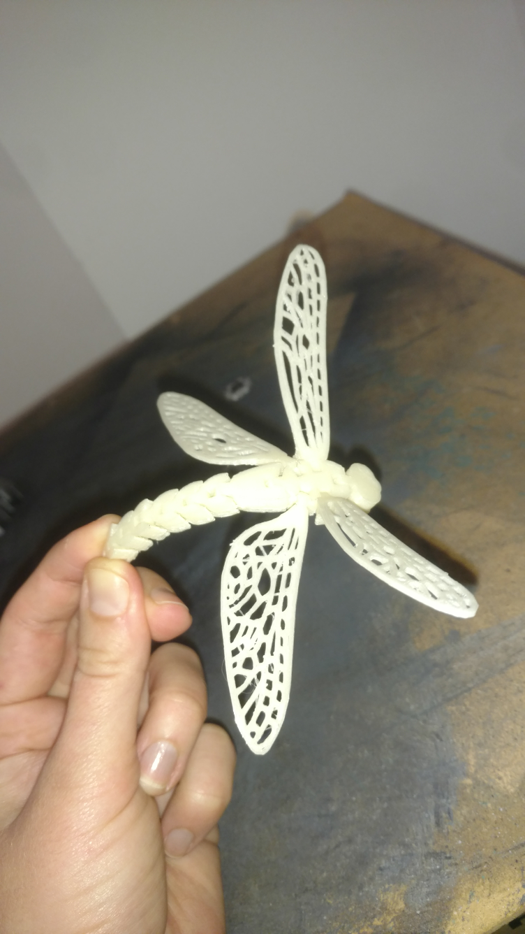 3D printing Floppy Dragonfly・Cults