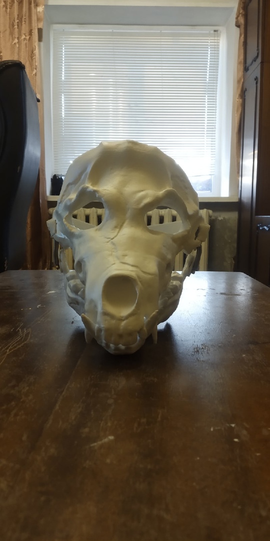 3D file Fursuit. Mask Wolf Skull 🐺・3D printer model to download・Cults
