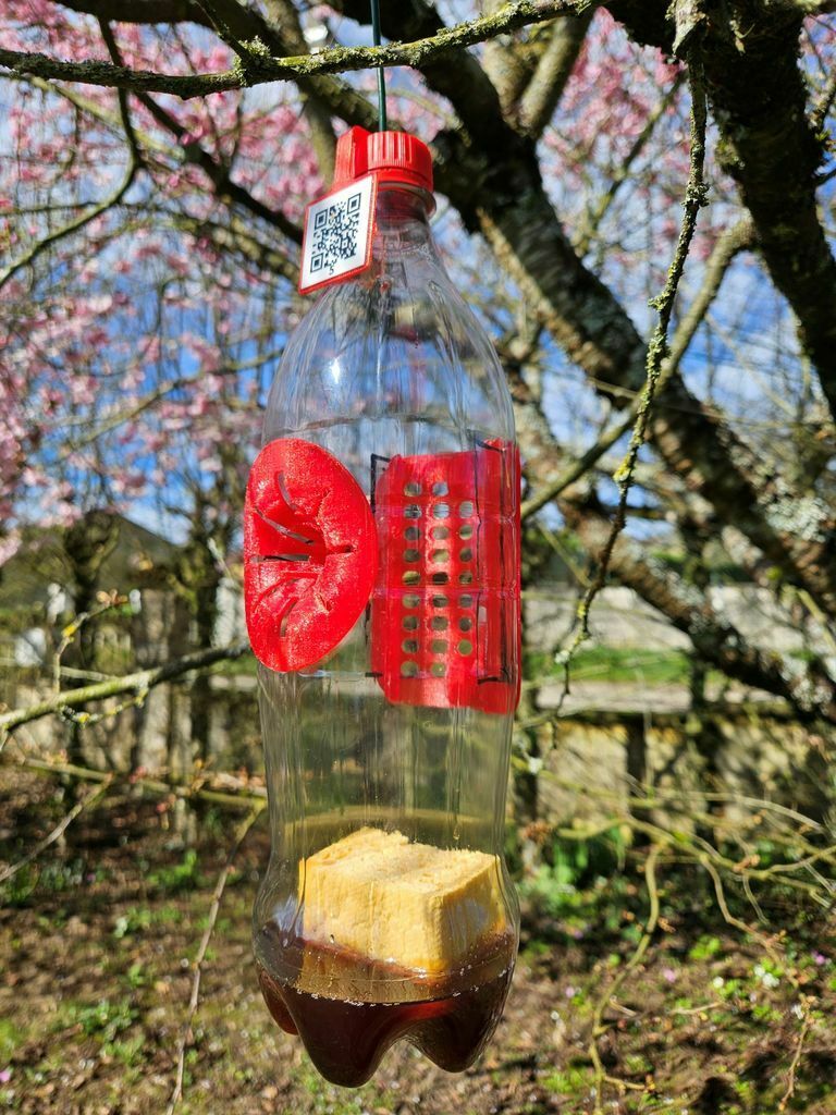 Free 3D file Easy selective trapping kit - Bottle trap - Asian hornet 🍾 ...