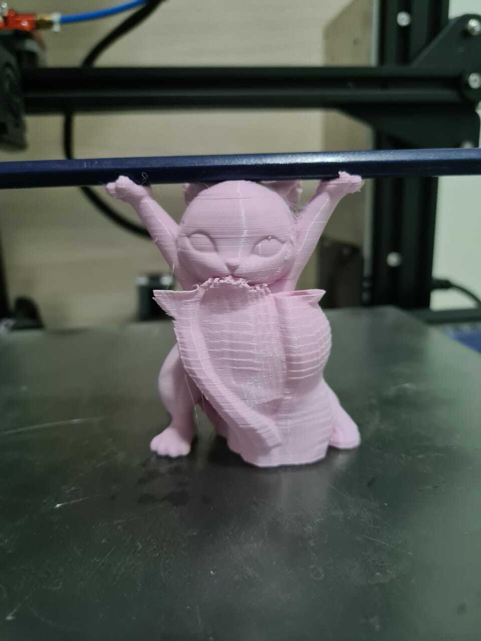 🐱 Cat holder・ STL File for ・Cults