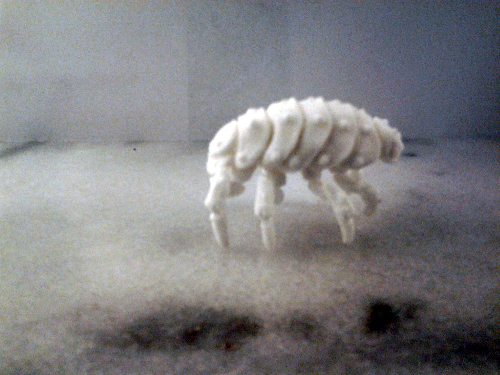 Файл 3D Articulated Predominant Isopod BJD Kit 3D STL Files with ...