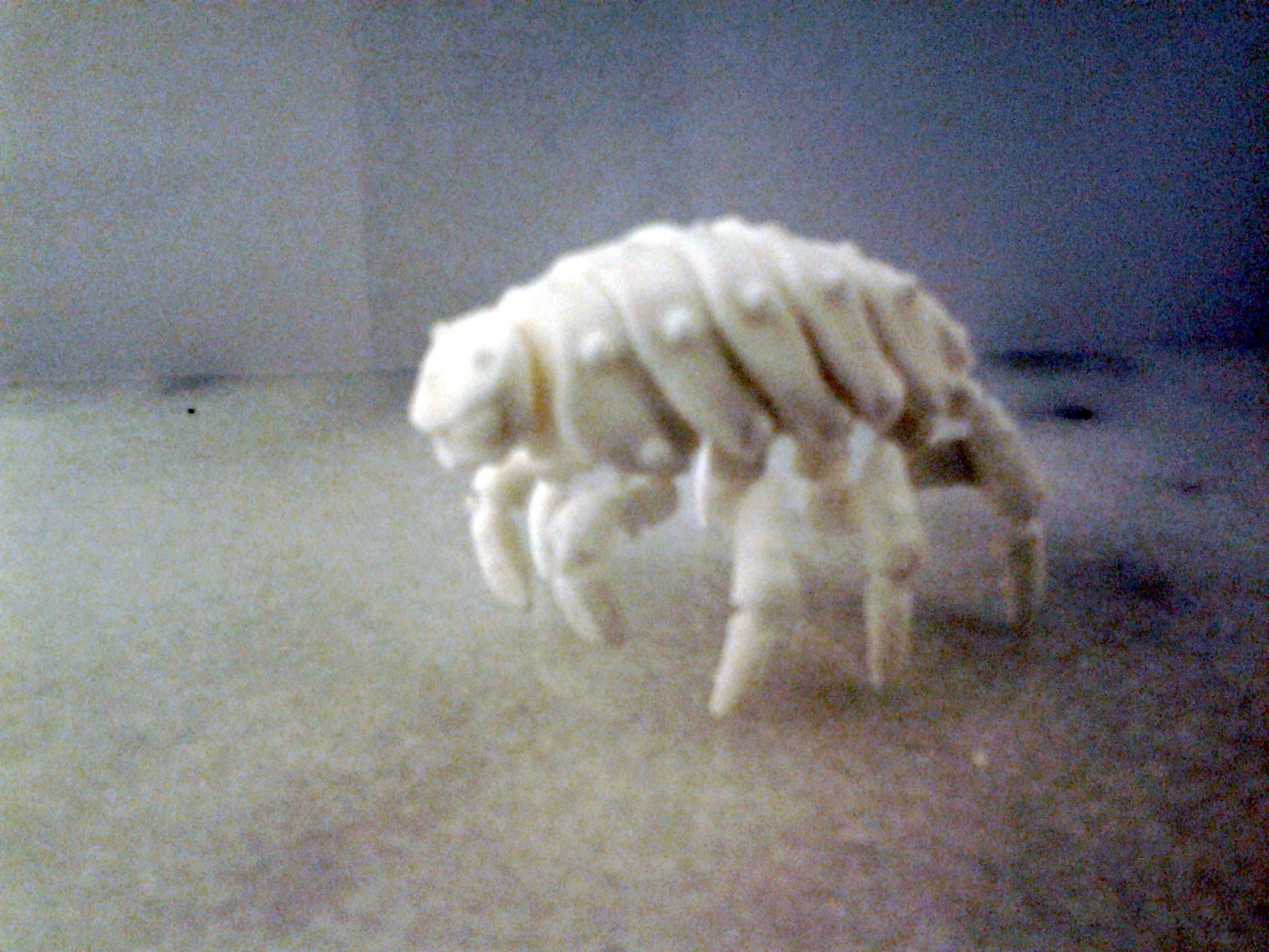 3D file Articulated Predominant Isopod BJD Kit 3D STL Files with ...
