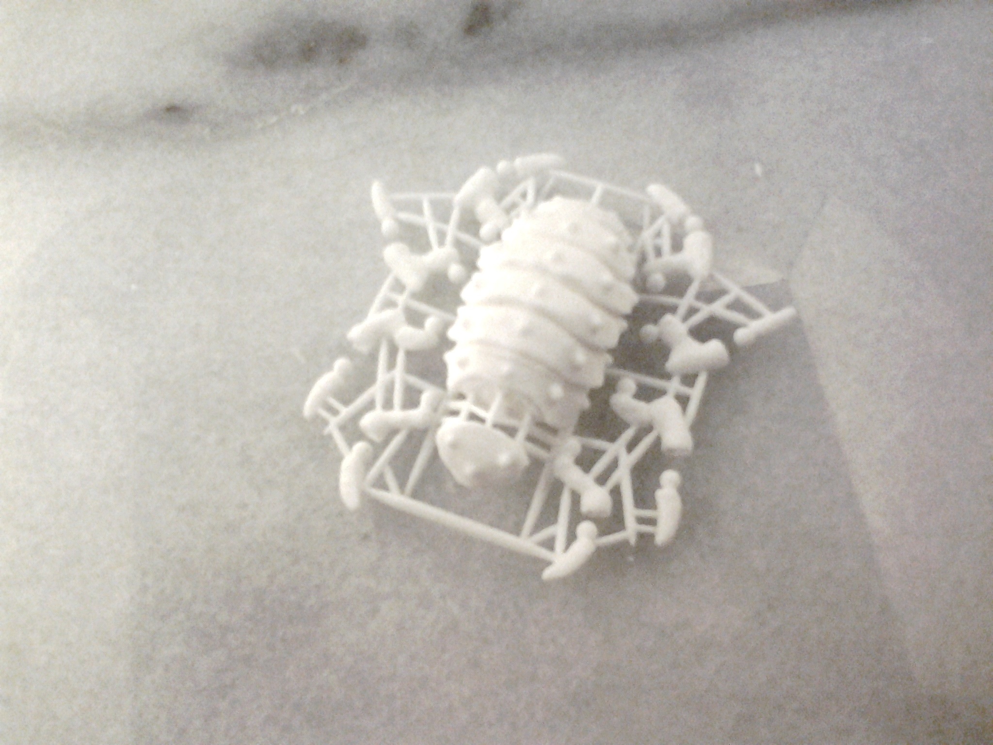 3D file Articulated Predominant Isopod BJD Kit 3D STL Files with ...