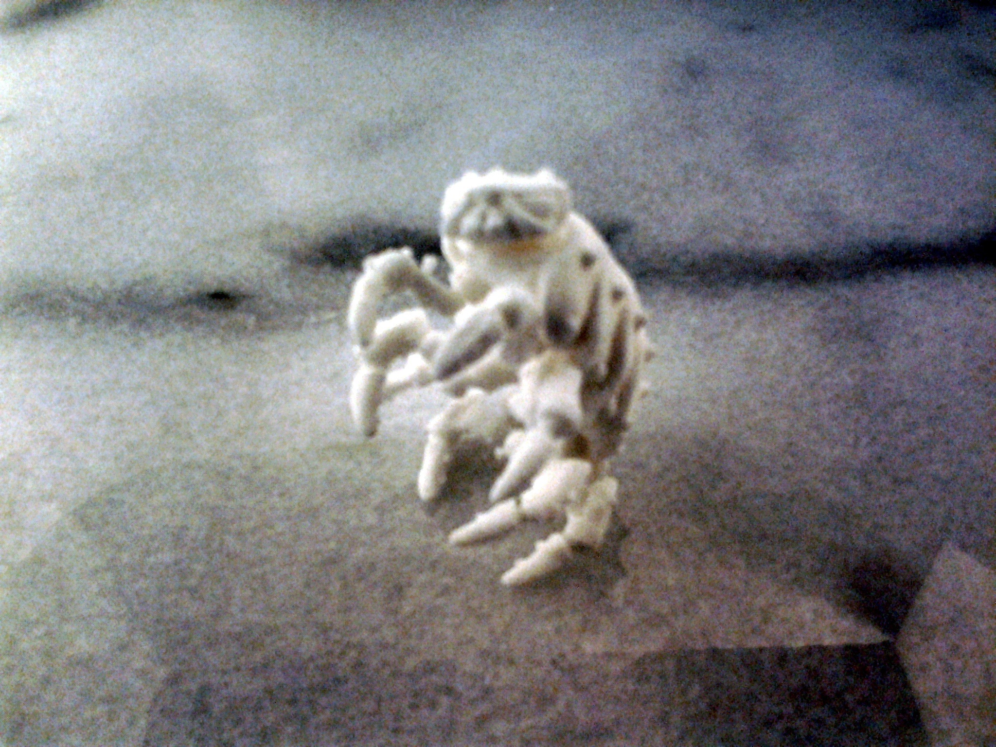 3D file Articulated Predominant Isopod BJD Kit 3D STL Files with ...