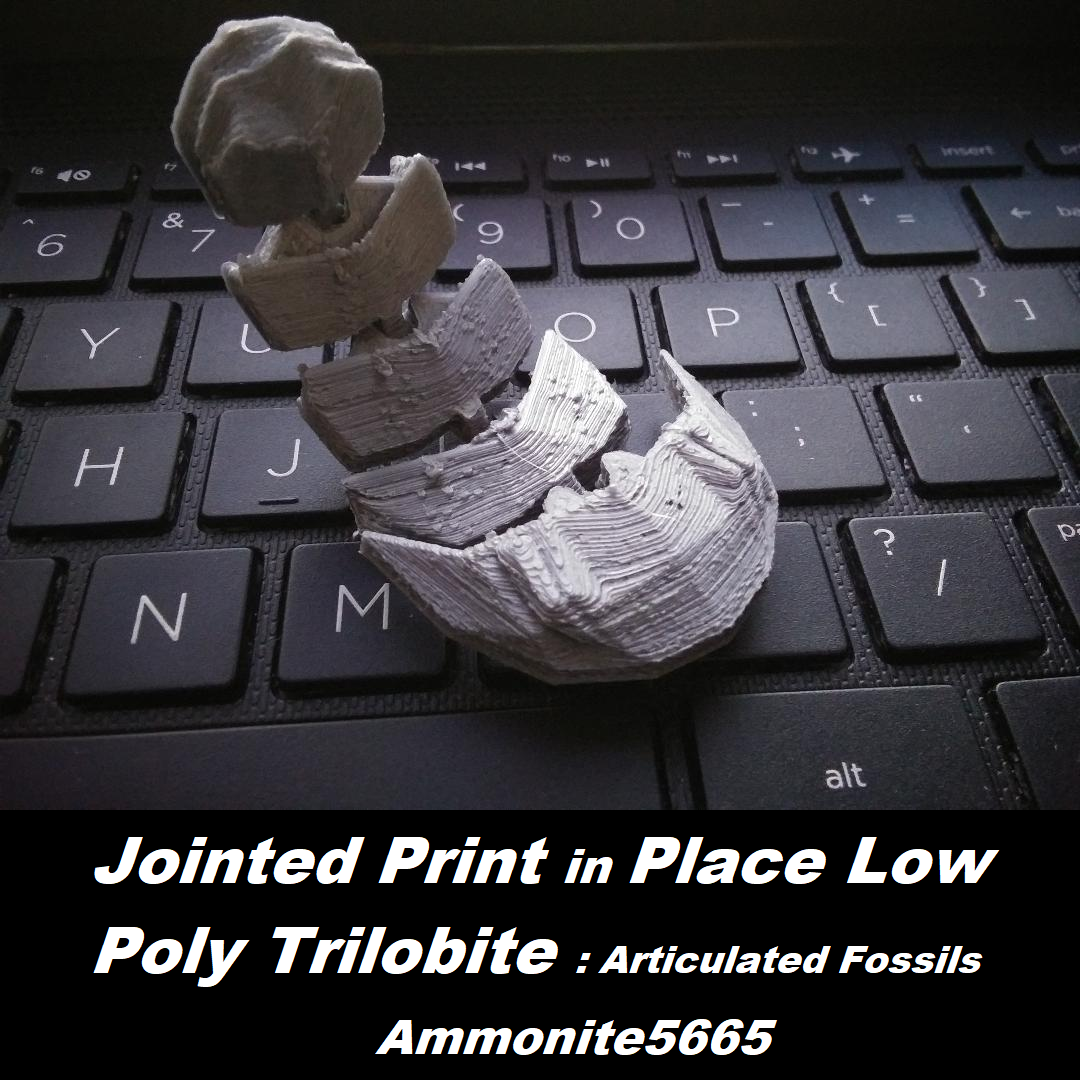 🆒 Jointed Print in Place Low Poly Trilobite : Articulated Fossils・ STL ...
