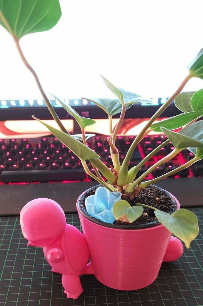 Free STL file Pouring Aid for plants - Small and Medium 🫗 ・3D printable ...