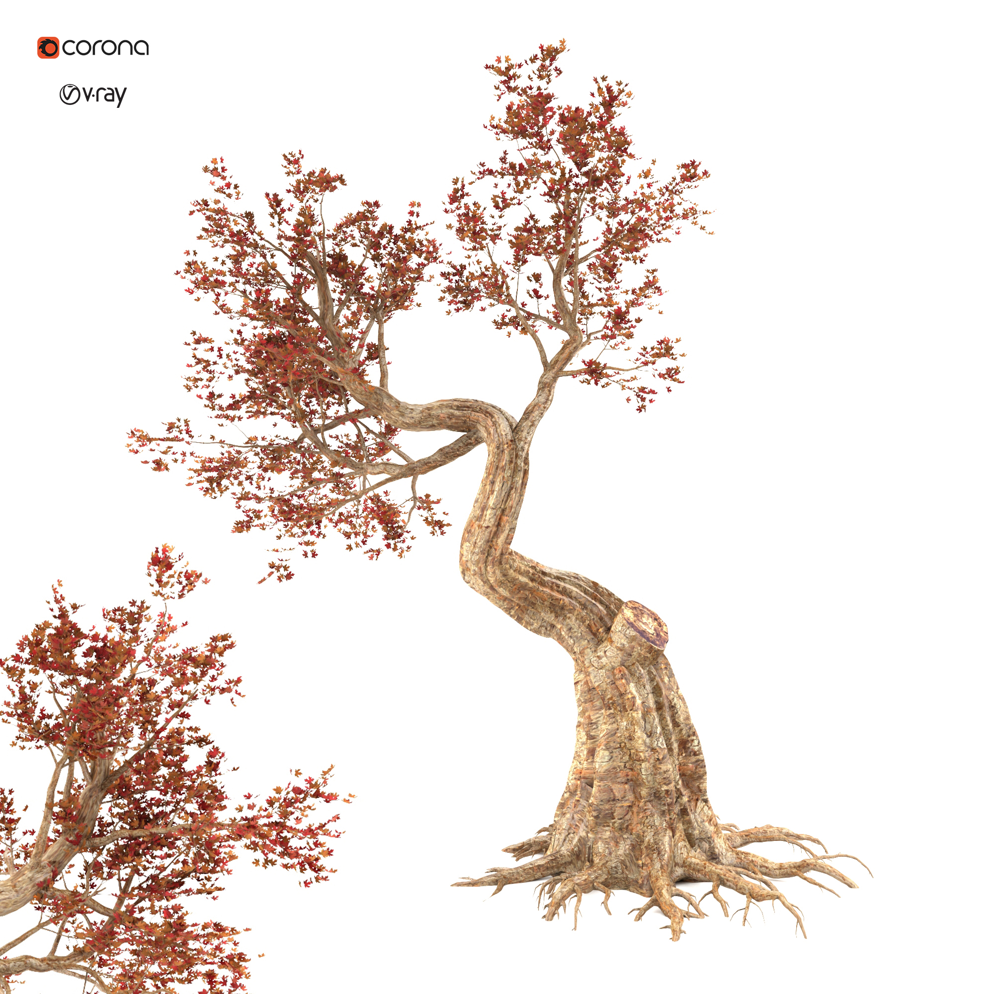 Free STL file Old twisted red tree 👴 (OBJ)・3D print design to download ...