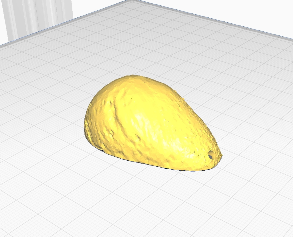 Free 3D file The Ultimate Fidget Avocado keychain 👌 ・3D printable model ...