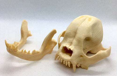 💀 THE FRENCHIE SKULL WITH WOOD PLA・ STL File for ・Cults