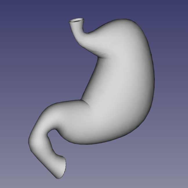 💊 Stomach as realistic as possible・Free STL File for ・Cults