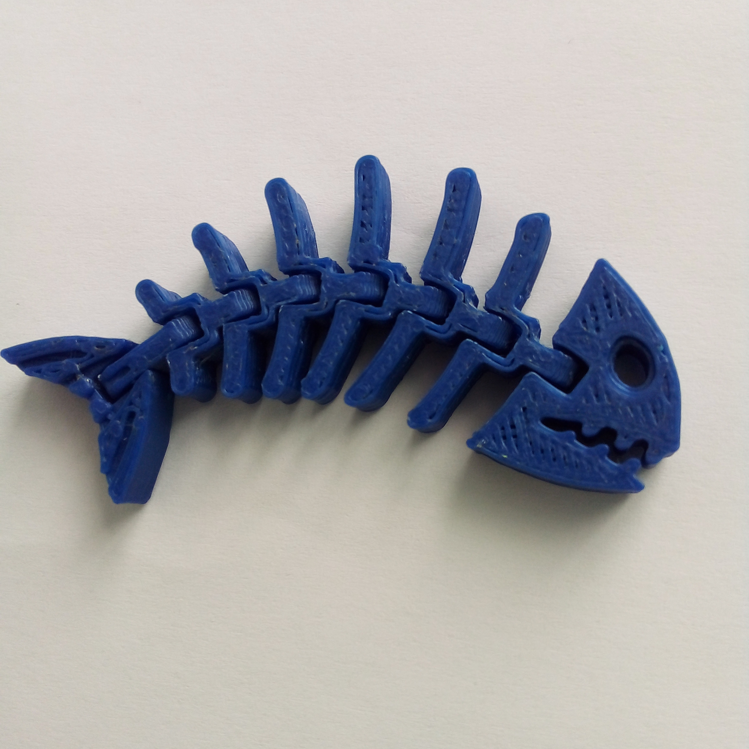 3D printing Fish Fossilz・Cults