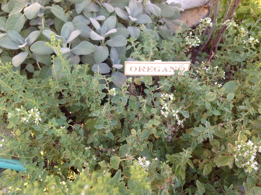 Archivo 3D gratis Señales de hierbas 🌿 ・Diseño de impresora 3D para ...