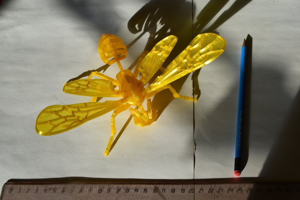 Free 3D file bee puzzle 🐝 ・3D printable model to download・Cults