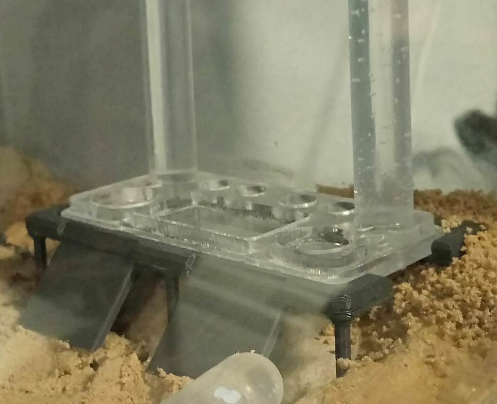 Fichier STL gratuit AntHouse.es Plate-forme "Mega Trough 🐾 ・Modèle à ...