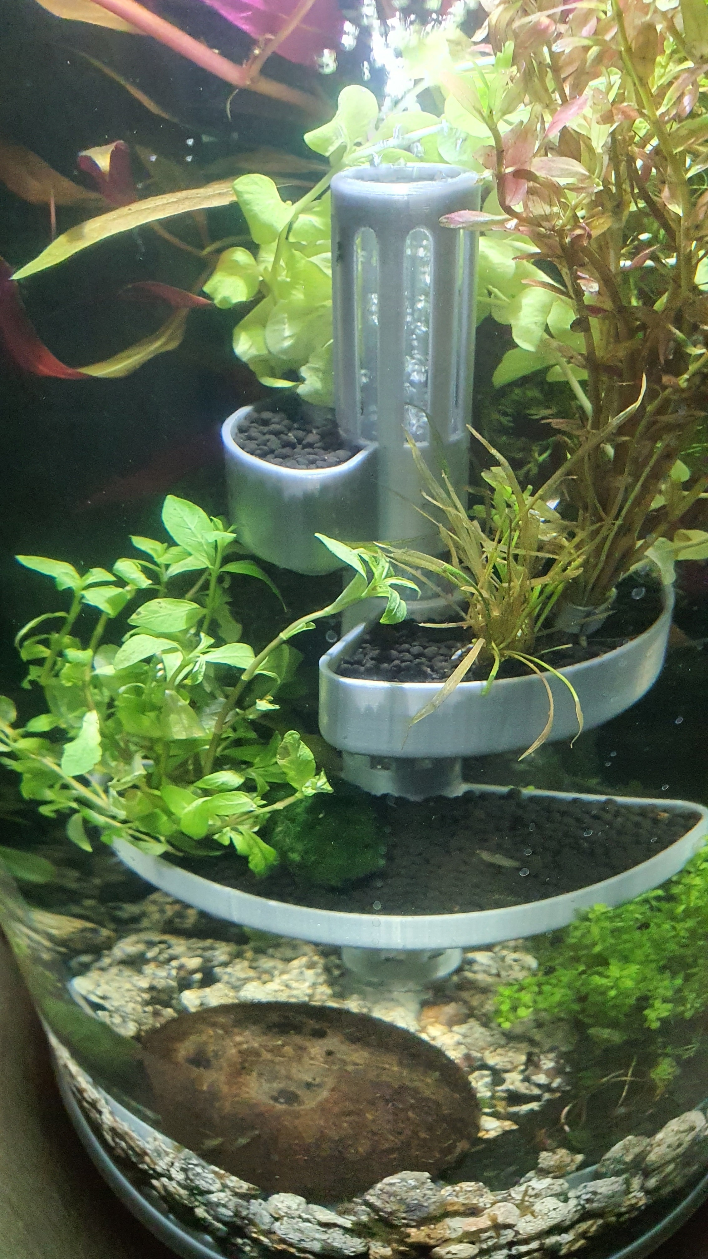 STL file Modularized terrace system for biOrb fish tank 🐠・3D print ...