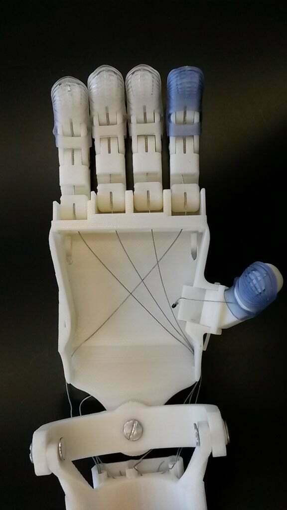 Falcon Hand V1・Free STL File for ・Cults