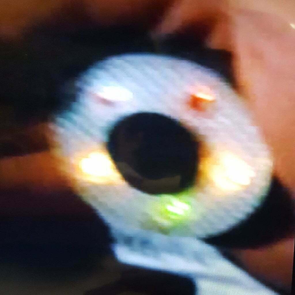 🎲 The Invaders - Killer Disc・Free STL File for ・Cults