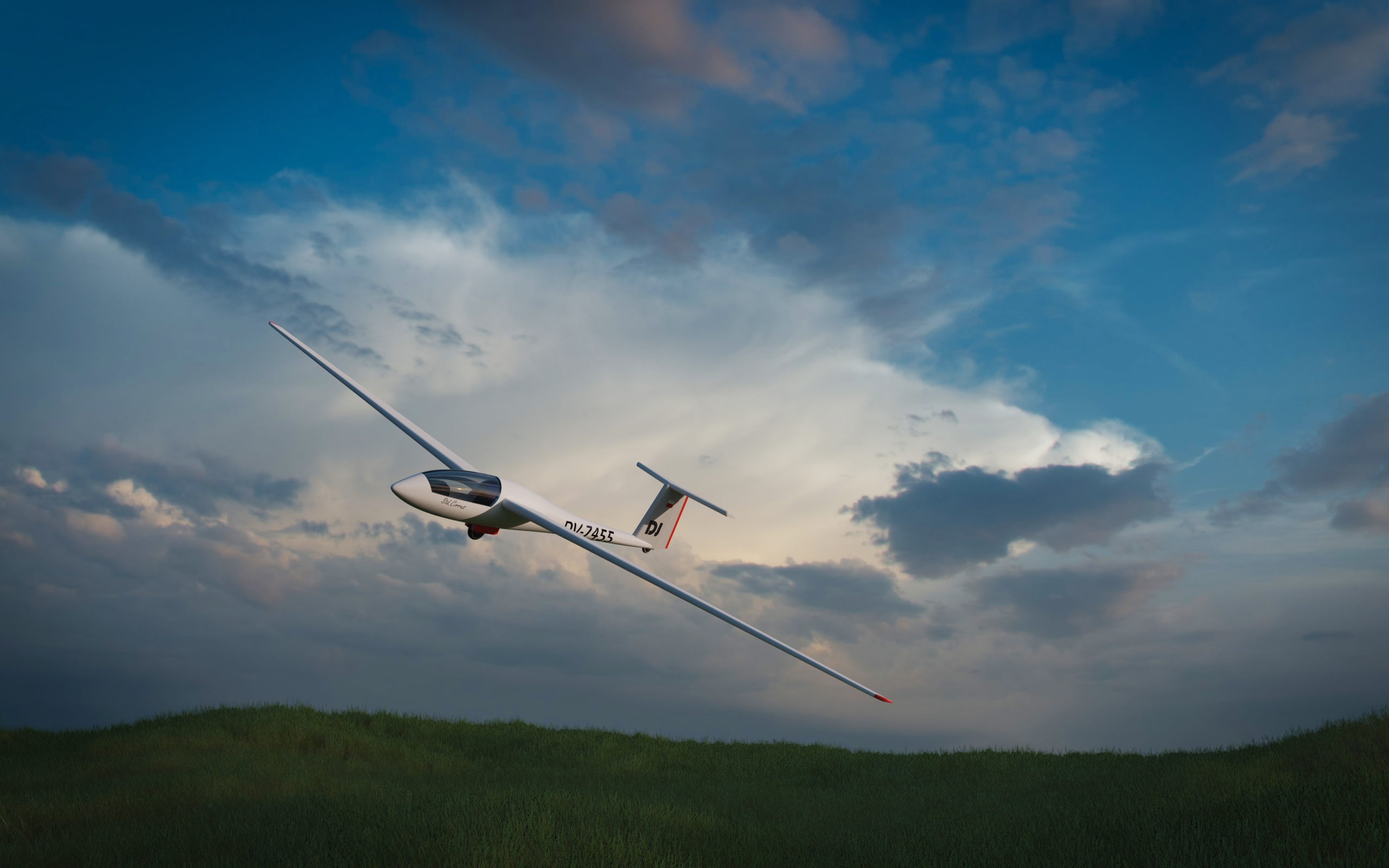 🎨 Standard Cirrus Glider / Sailplane Miniature・ STL File for ・Cults