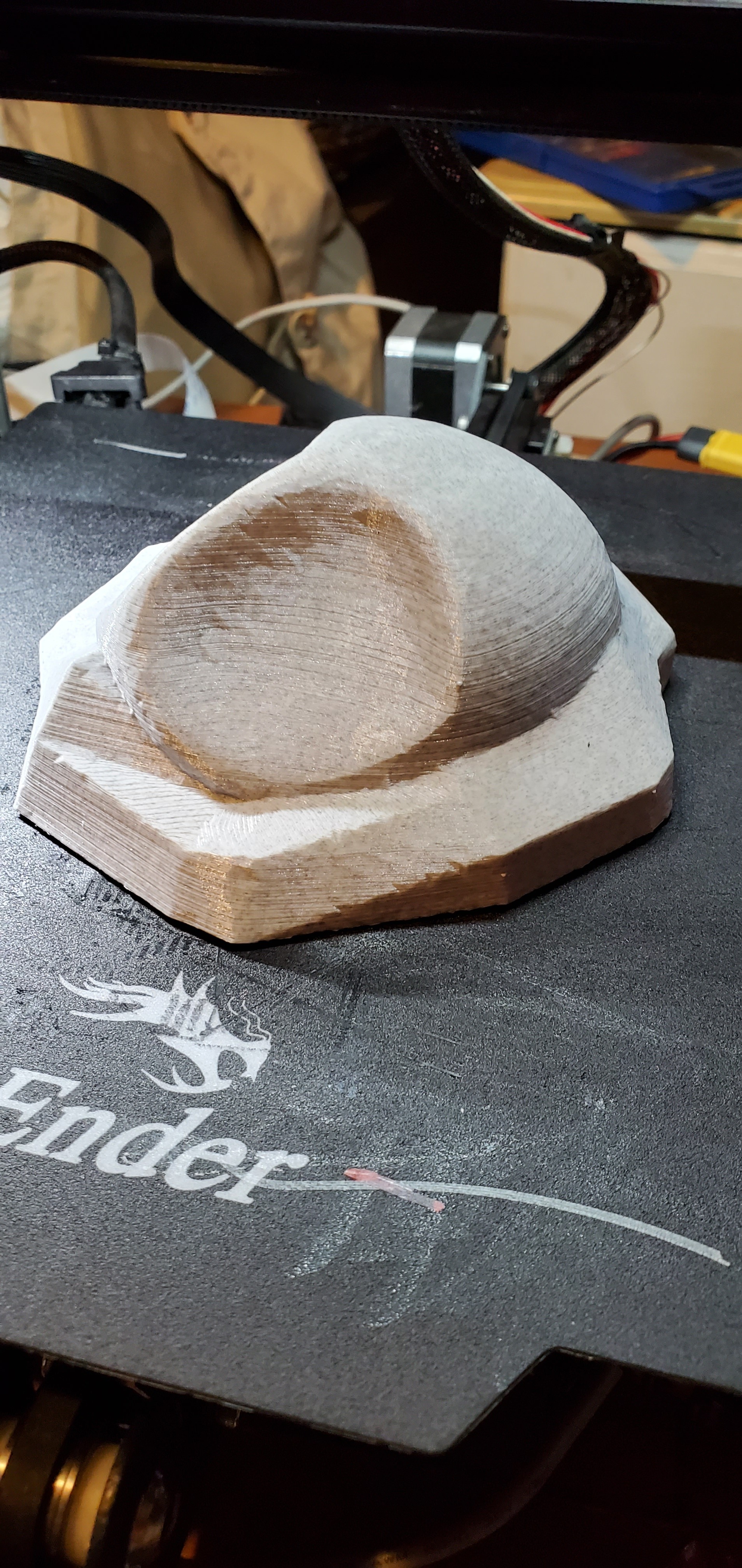 Fossil Domo Pokemon impreso en 3D • Hecho con una impresora 3D Creality ...