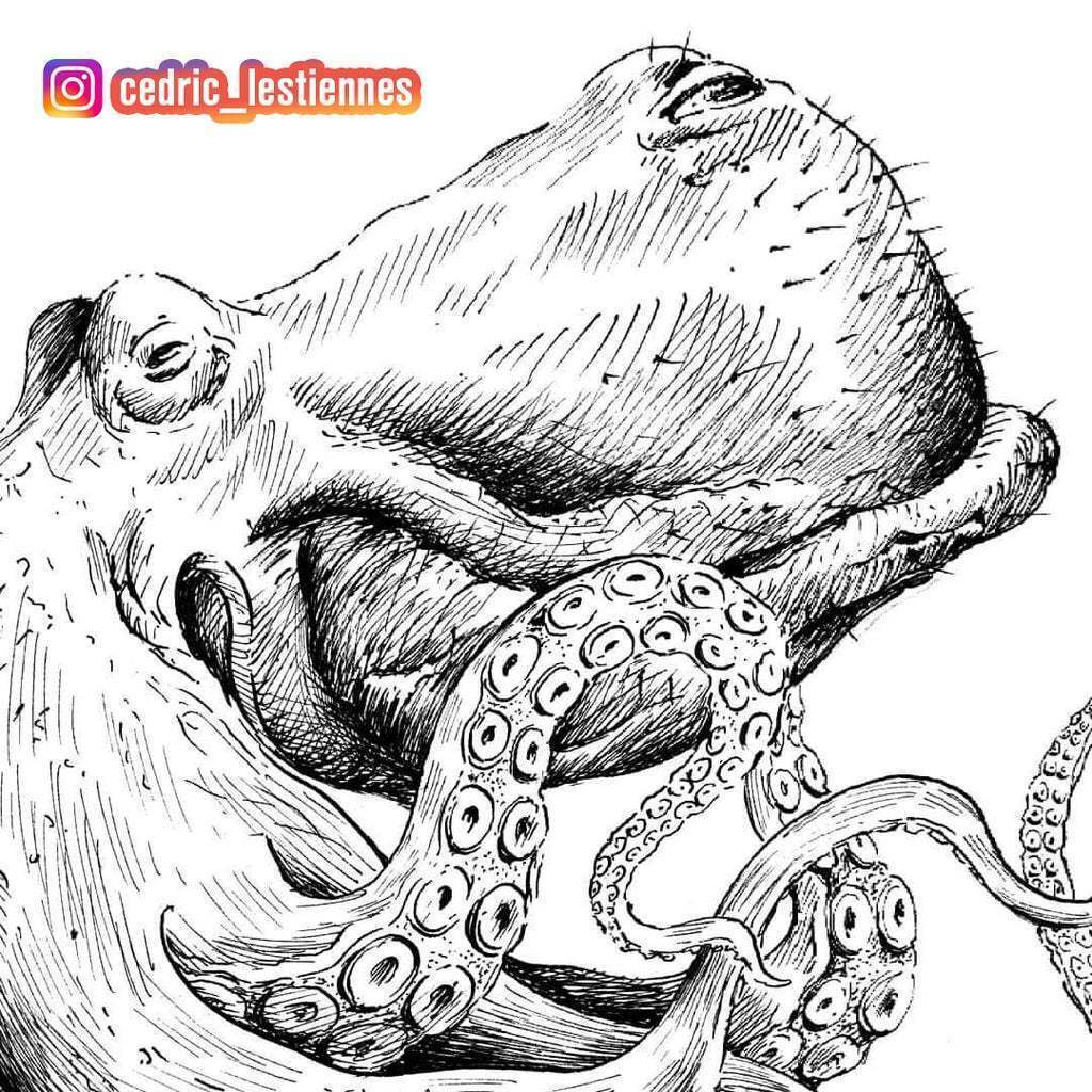 🐙 Articulated Octopotamus (Octopus + Hippopotamus)・Free STL File for ・Cults