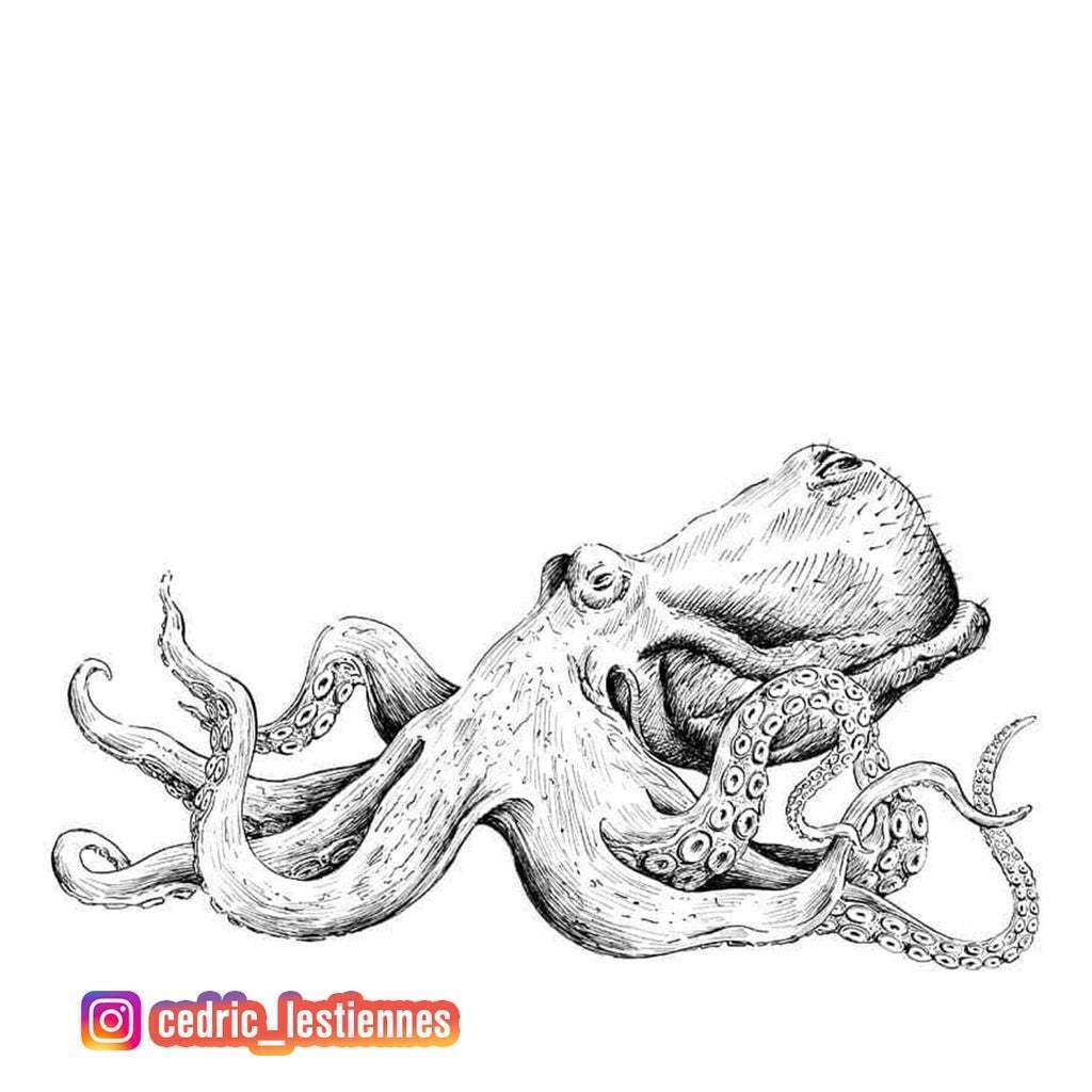 🐙 Articulated Octopotamus (Octopus + Hippopotamus)・Free STL File for ・Cults