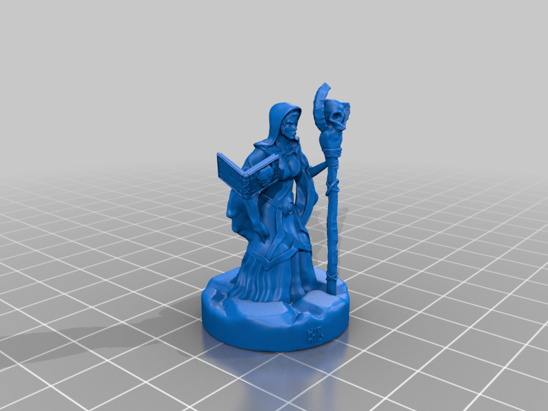 🧙 Mage with Tome - 8 Staff Options - Support Free Mini 28mm・Free STL ...