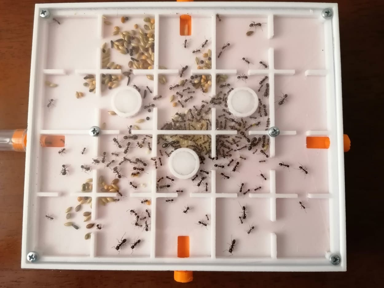 Archivo STL Formicarium 1.0 👽 ・Diseño imprimible en 3D para descargar・Cults