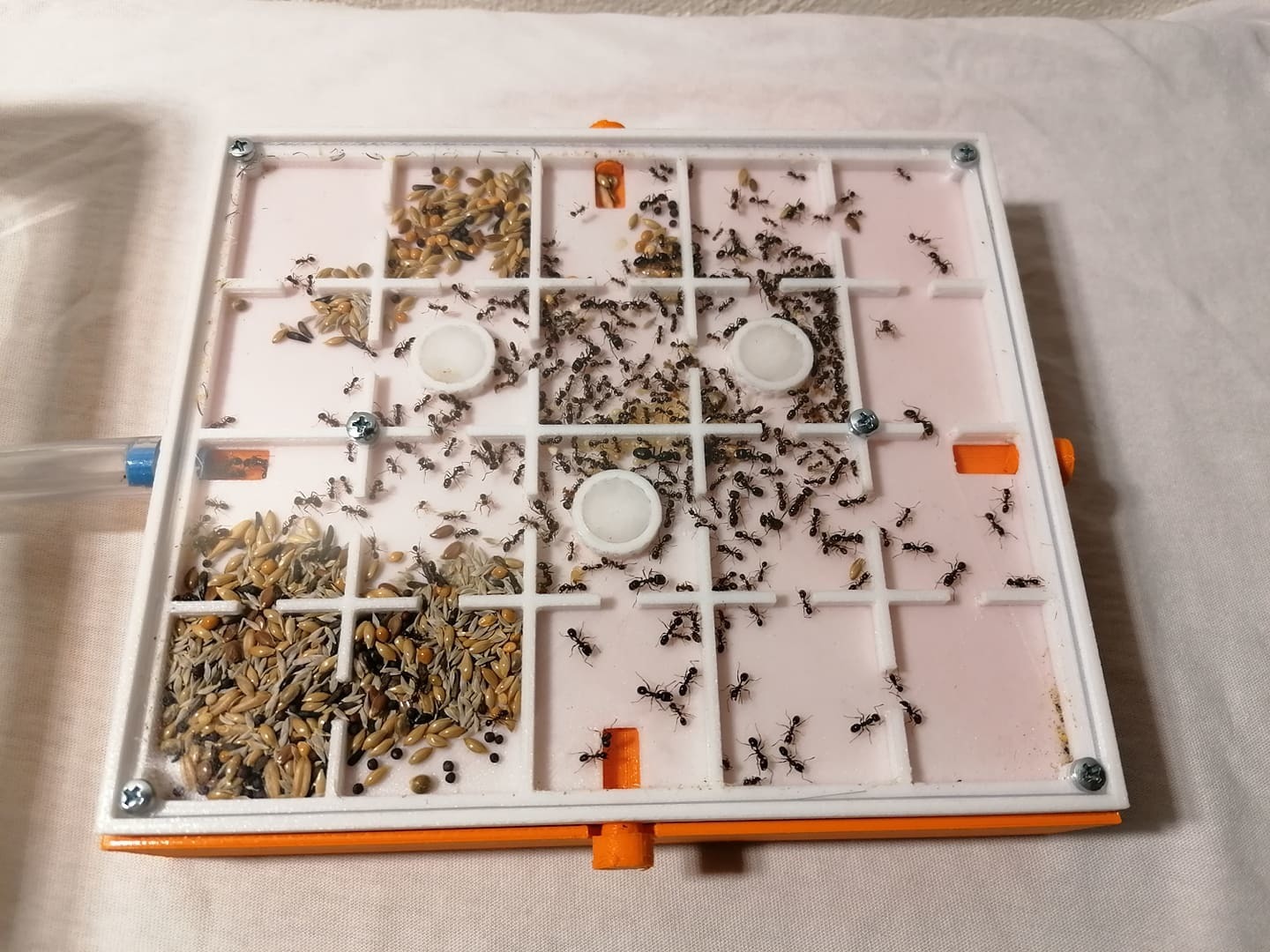 Archivo STL Formicarium 1.0 👽 ・Diseño imprimible en 3D para descargar・Cults