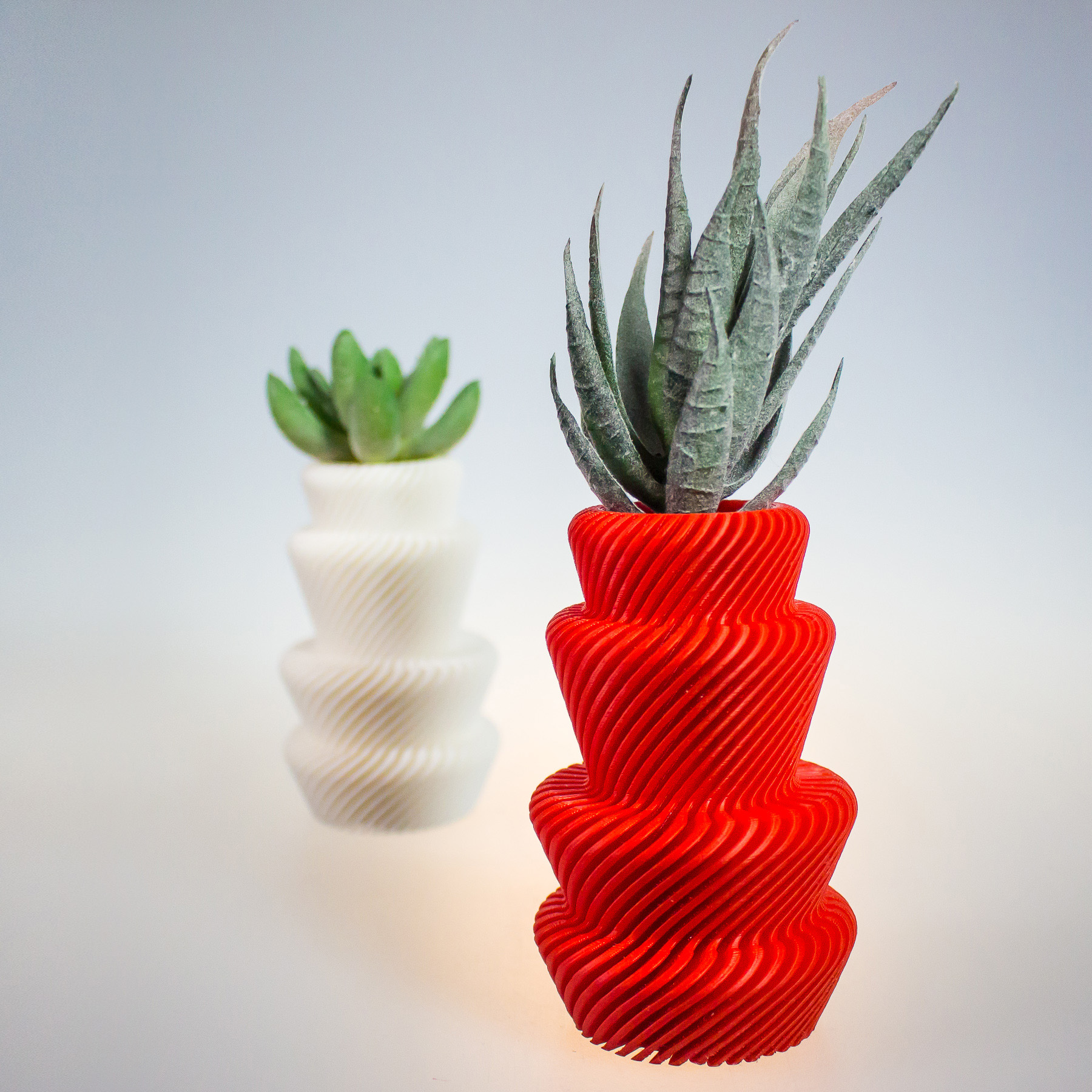 3D file Nino F. | pot for succulents 🪴 ・3D print object to download・Cults