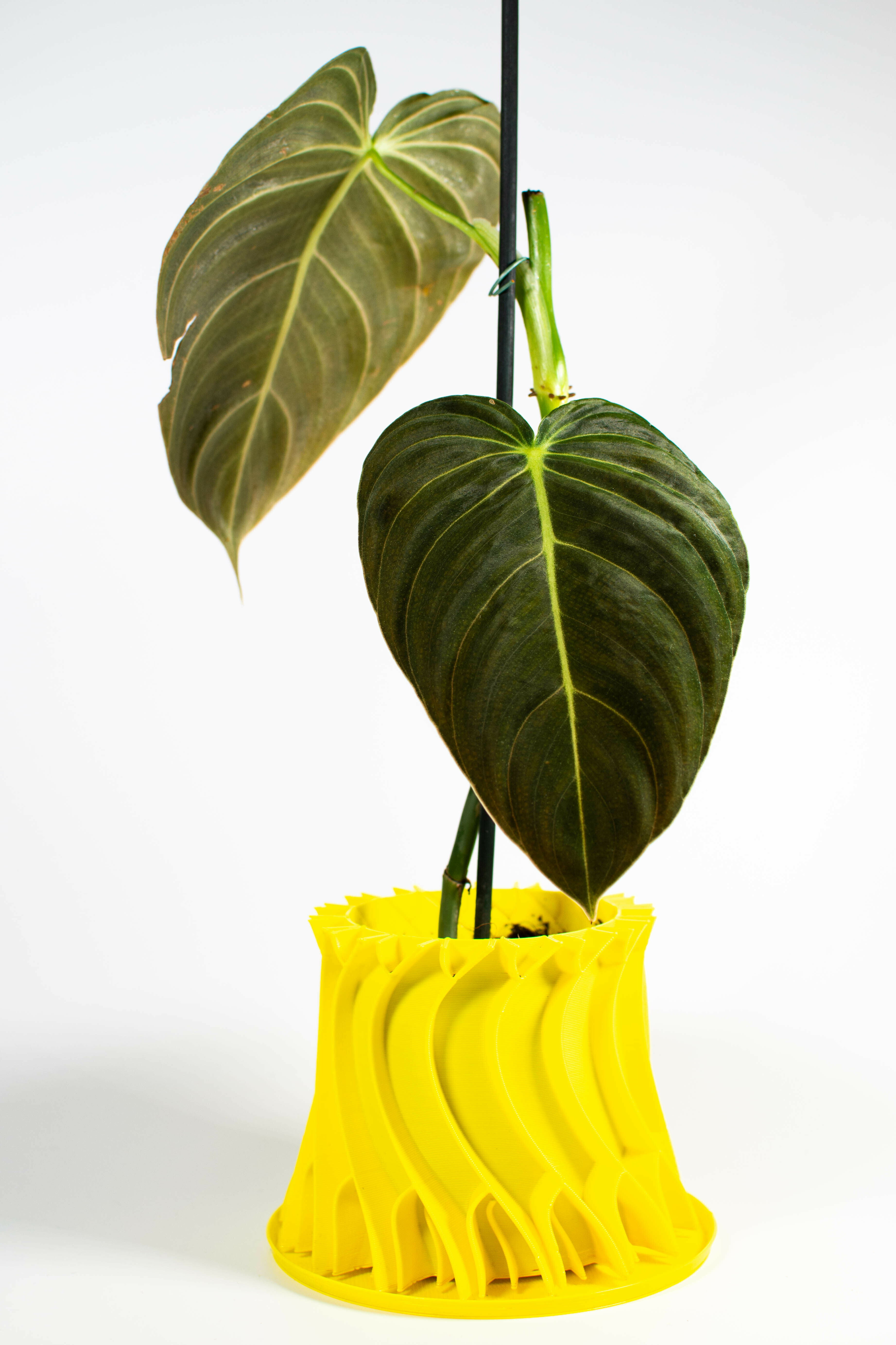 STL file Stronghold parametric flower pot 💐 ・3D printable model to ...