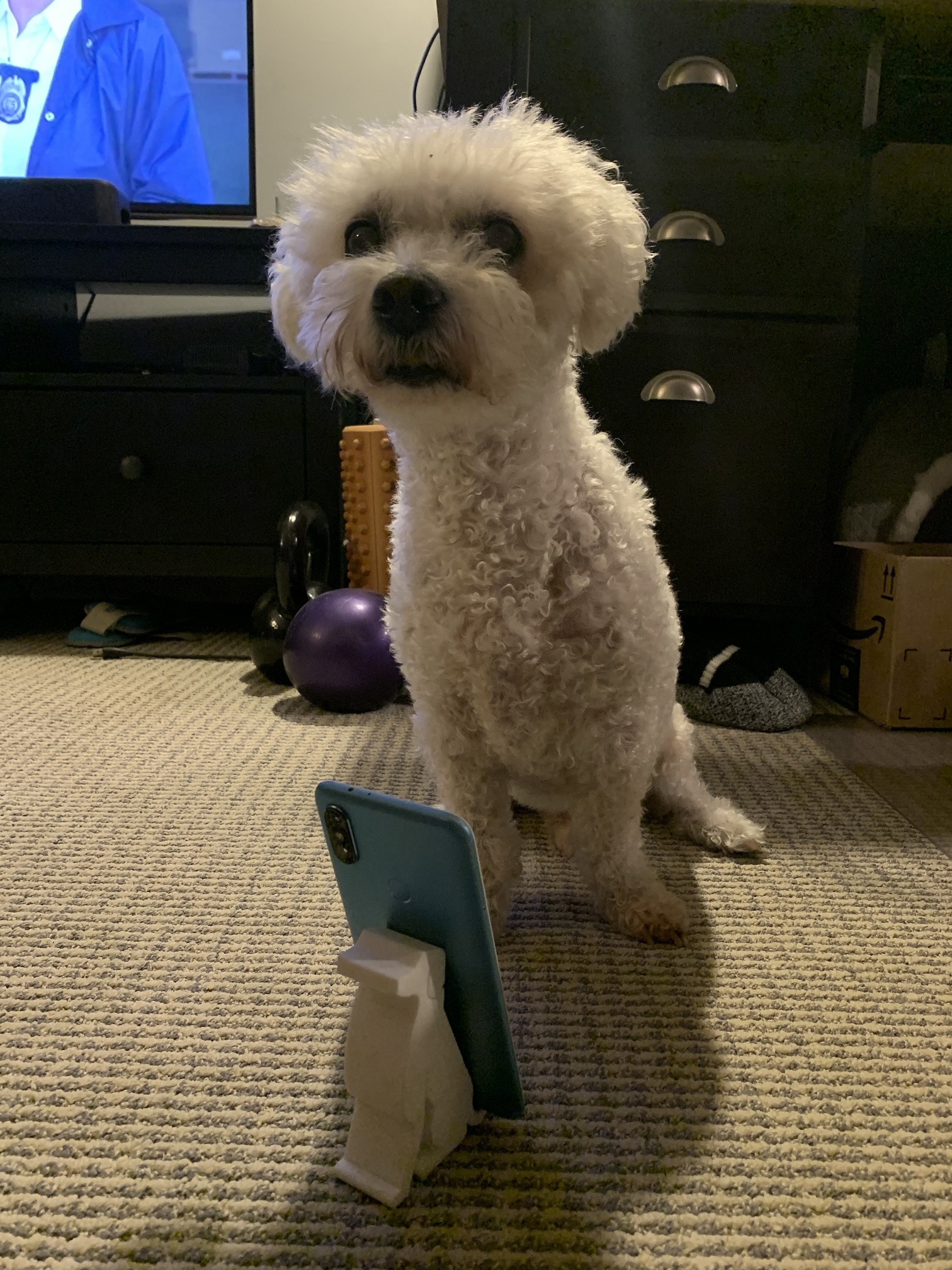 Imprimir en 3D Soporte de teléfono para perros • Hecho con una ...