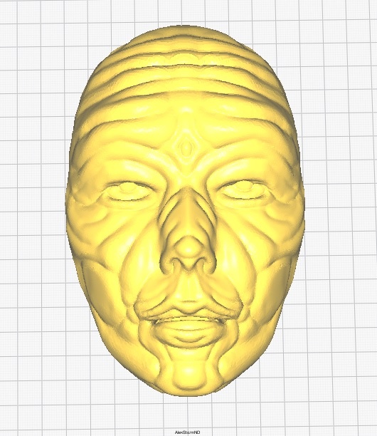 STL file Tosca Mask 🎨 ・3D printable model to download・Cults