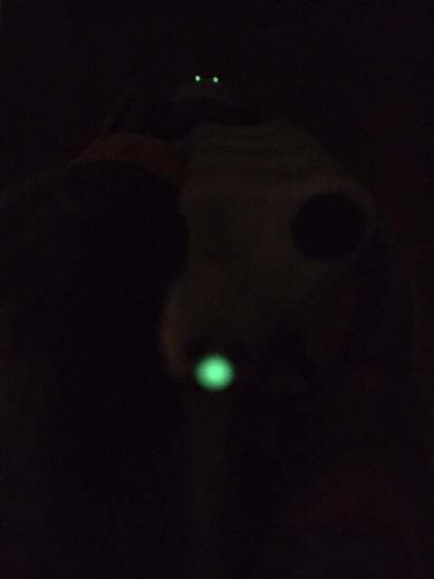 Pistola de plasma Glock 86 de Fallout por 3nikhey hecha para imprimir ...