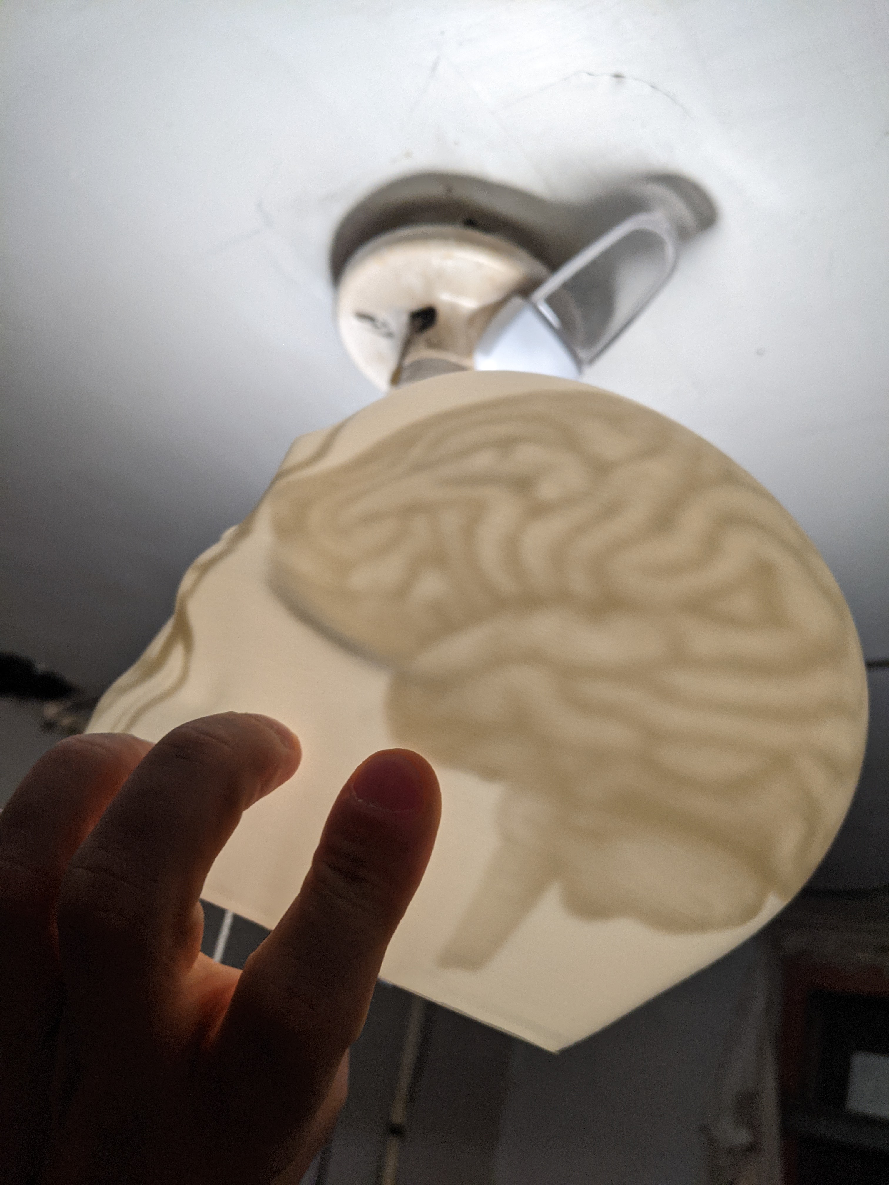 STL file Inside-out Skull 💀 ・3D printer design to download・Cults