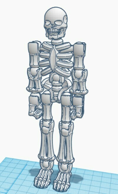 💀 Skeleton Articulate・Free STL File for ・Cults