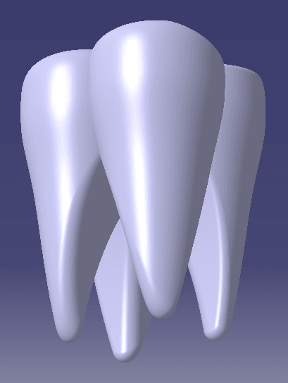 🦷 Molar tooth・ STL File for ・Cults