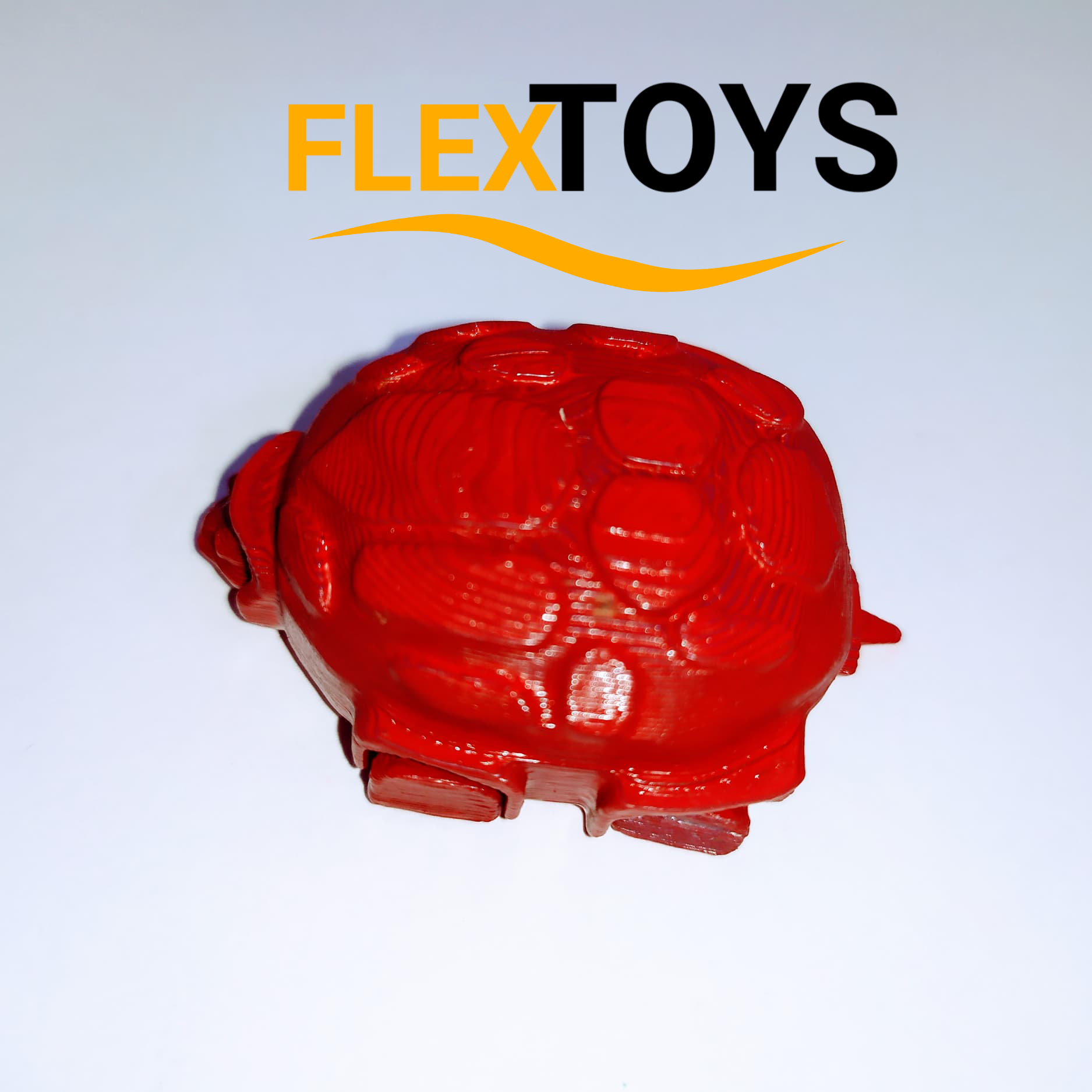 Tortuga 3d Linda