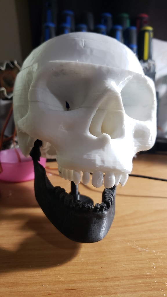 💀 Tomm's 3 Axis Talking Skull・Free 3D File for ・Cults