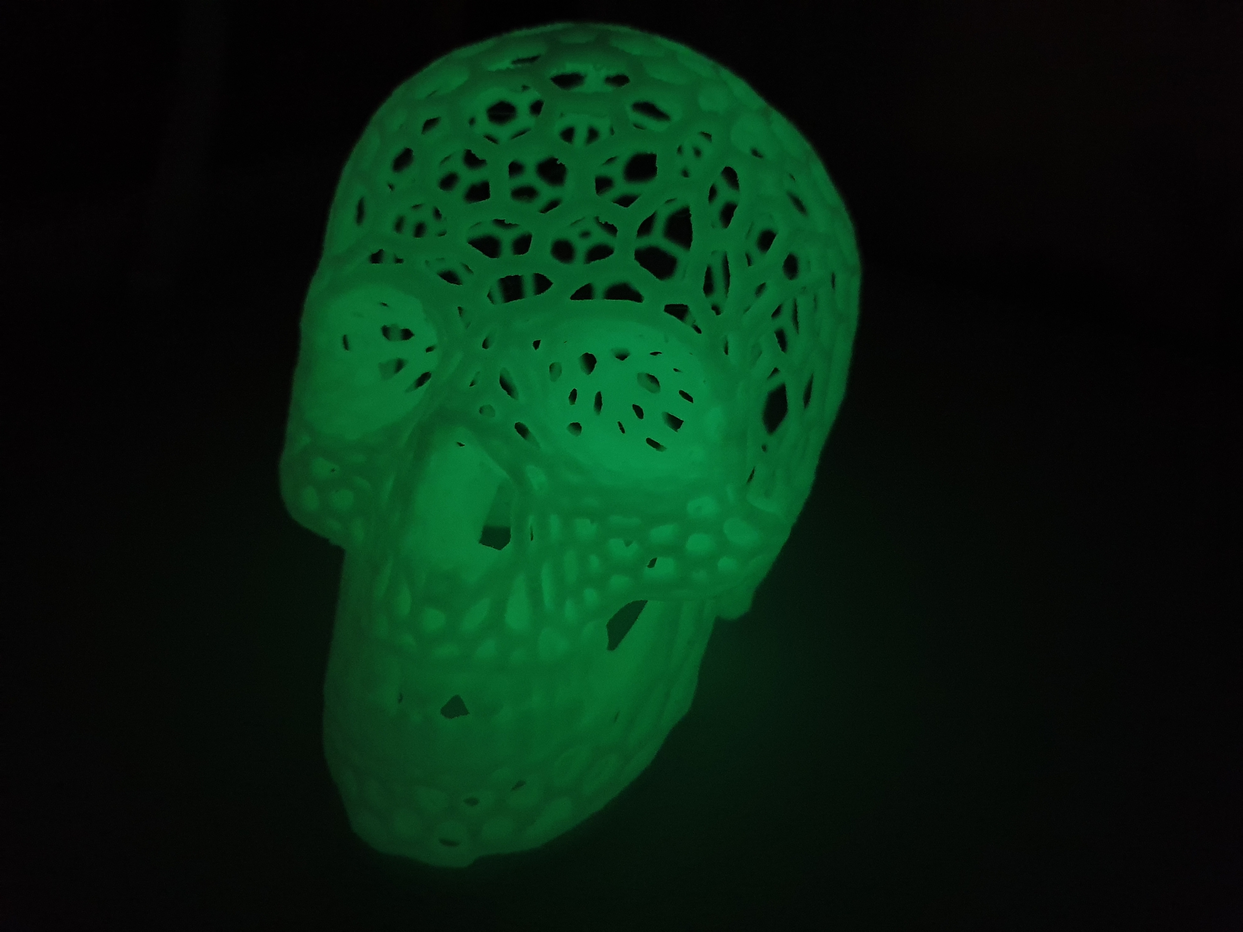 3D print Skull lamps - Voronoi Style・Cults