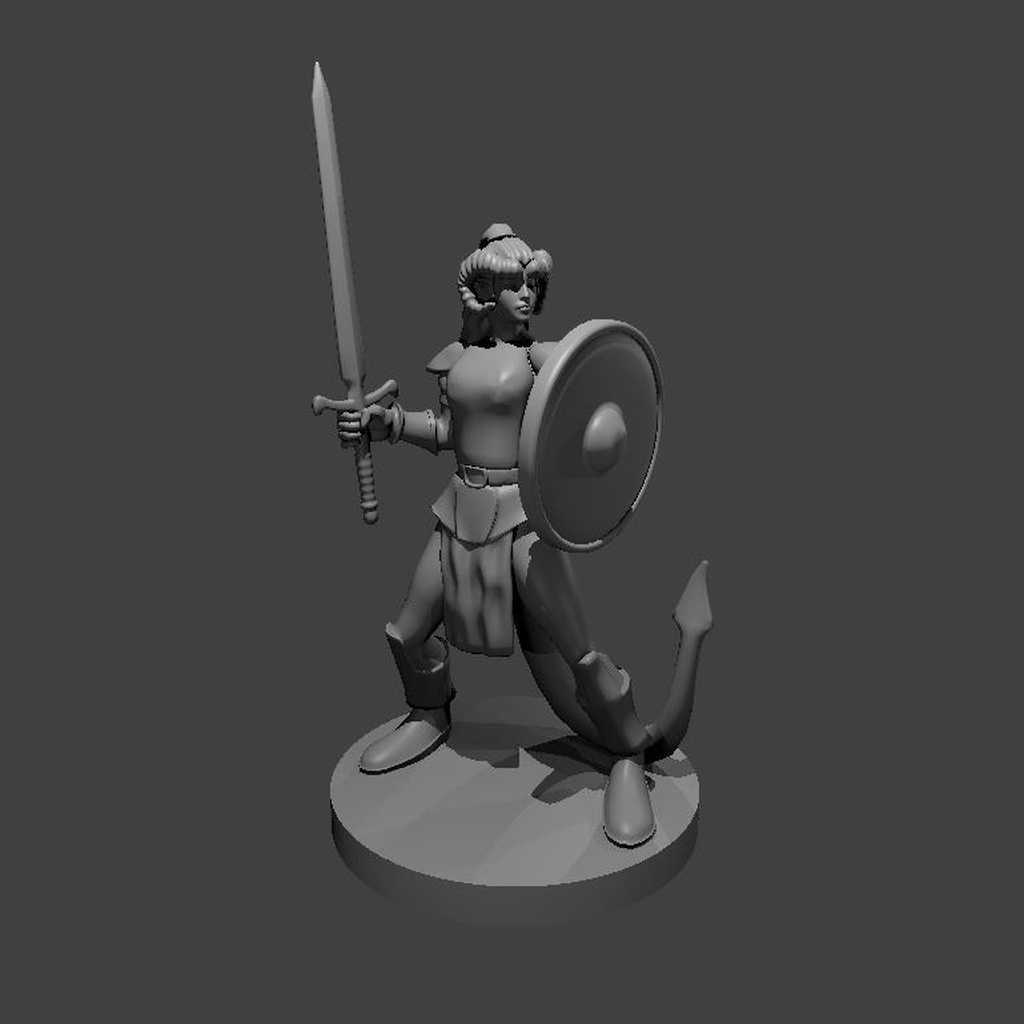 Free STL file Paladin Collection 2 🎲 ・3D print object to download・Cults