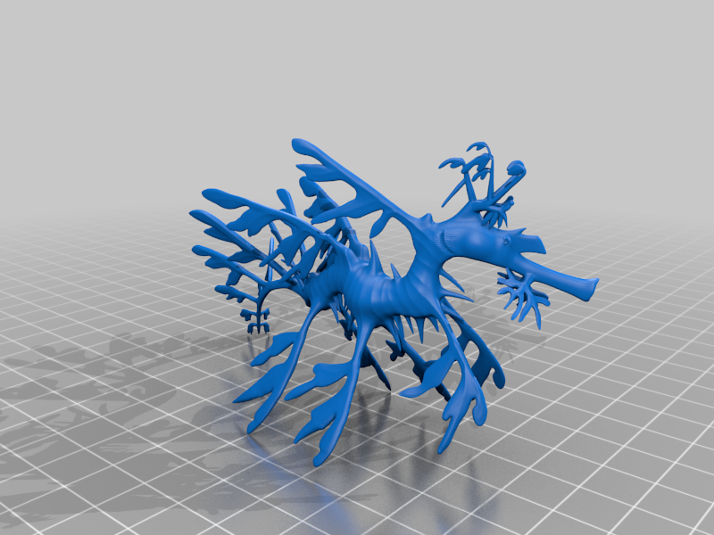 🐉 Giant Leafy Seadragon・Free STL File for 3D printing・Cults