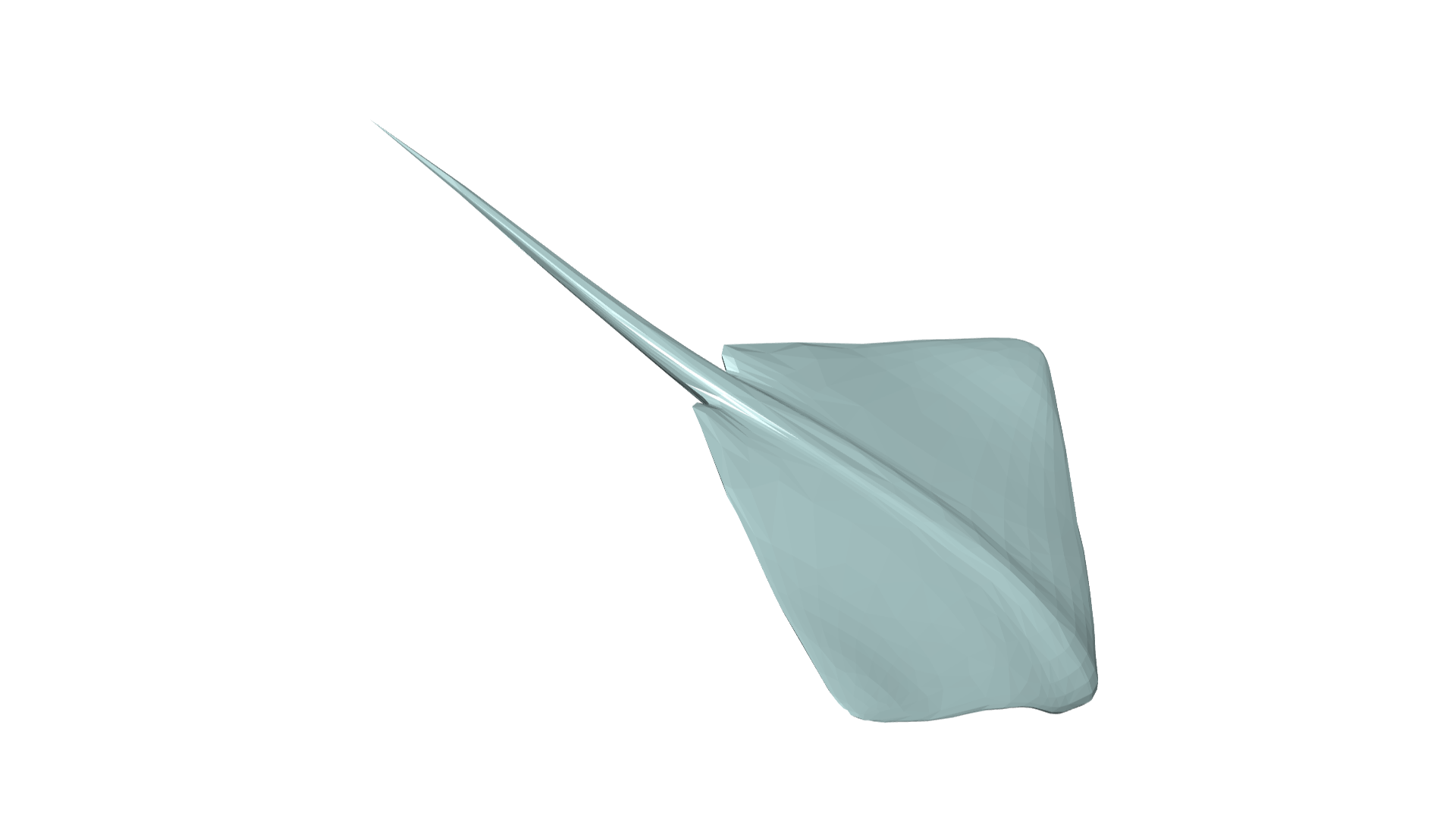 OBJ file STINGRAY 3d model 👽 ・3D printing idea to download・Cults