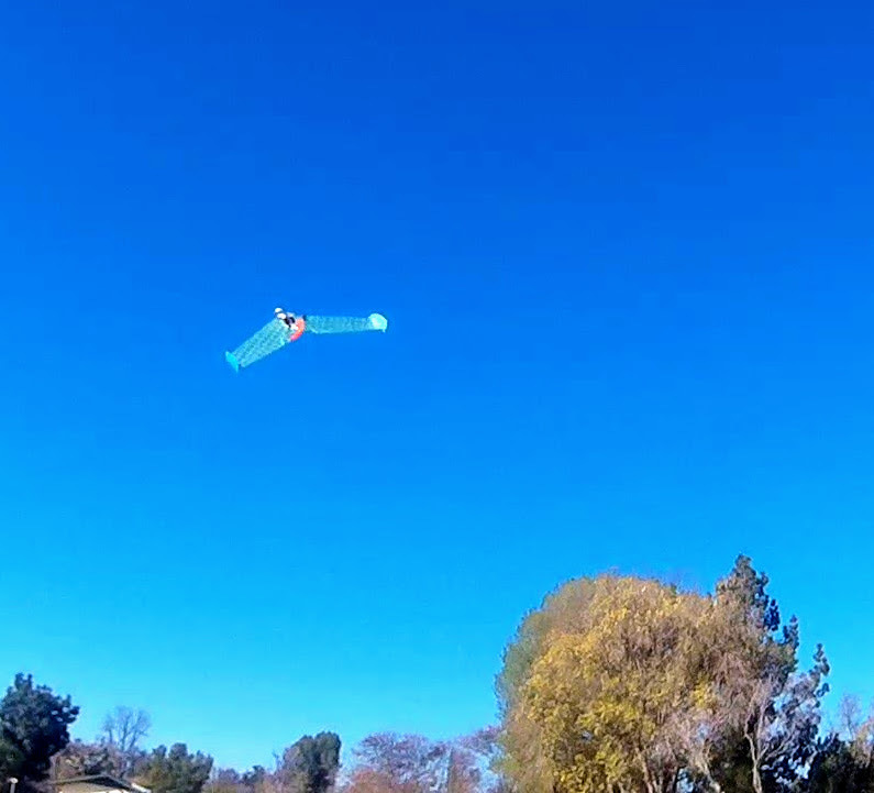 🪶 Micro Flying Wing for V911/F949 receiver bricks・Free 3D File for ・Cults