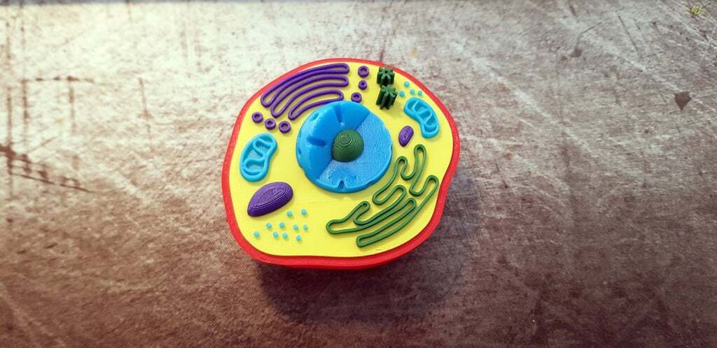 3D print Multi-Color Mini Animal Cell・Cults